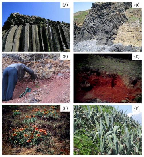 Comparison of the Late Miocene Sediments and Early Quaternary Red ...