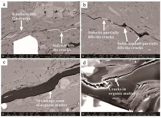 Diagenesis and Pore Formation Evolution of Continental Shale in the Da ...