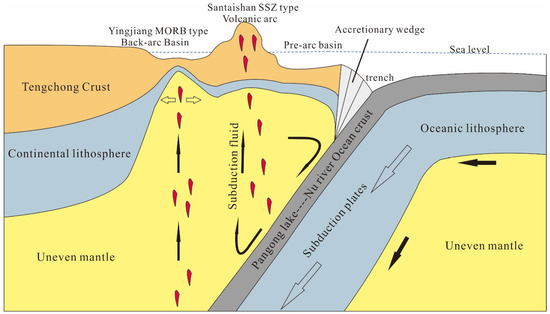 Zircon U–Pb Geochronology, Geochemistry and Geological Significance of ...