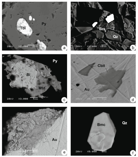 Minerals | Free Full-Text | Ore Mineralogy and Typomorphism of Native ...