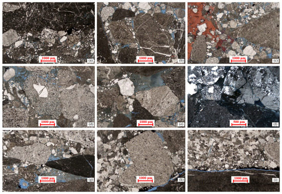 Study on the Quantitative Characterization and Heterogeneity of Pore ...