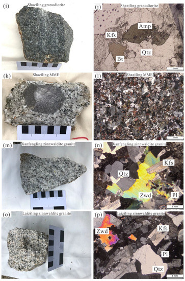 Two Distinct Fractional Crystallization Mechanisms of A-Type Granites ...