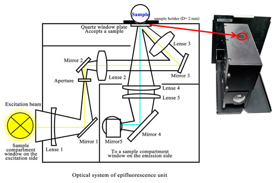 Fluorescence and Phosphorescence Spectroscopies and Their Applications ...