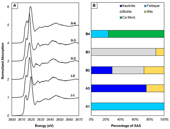 Saprotrophic Fungus Induces Microscale Mineral Weathering to Source ...