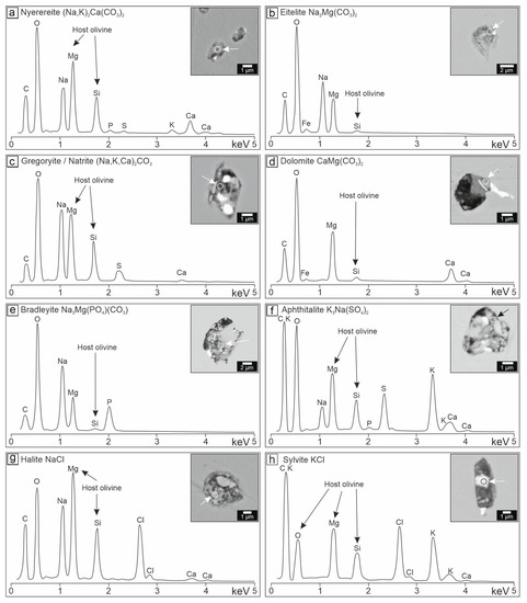 Mineral Assemblage of Olivine-Hosted Melt Inclusions in a Mantle ...