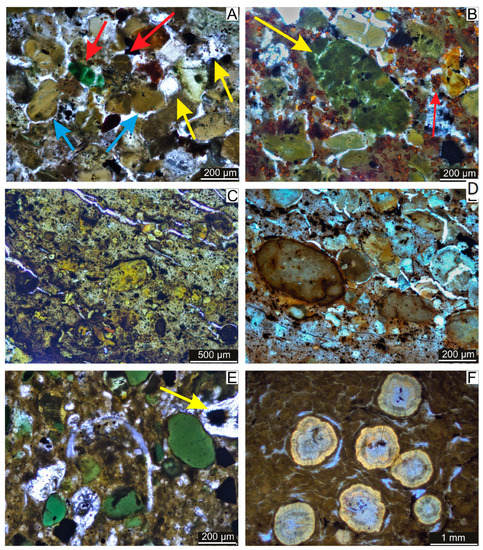 Authigenic Fe Mineralization in Shallow to Marginal Marine Environments ...