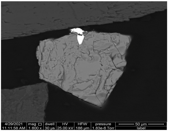 Investigating the Amenability of a PGM-Bearing Ore to Coarse Particle ...