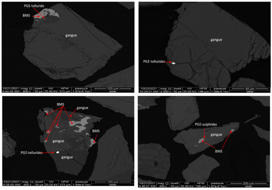 Investigating the Amenability of a PGM-Bearing Ore to Coarse Particle ...