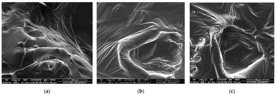 Preparation, Structural Characterization and Evaluation of Some Dynamic ...