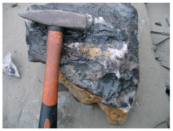 Typomorphic Features and Source of Native Gold from the Sykhoi Log Area ...