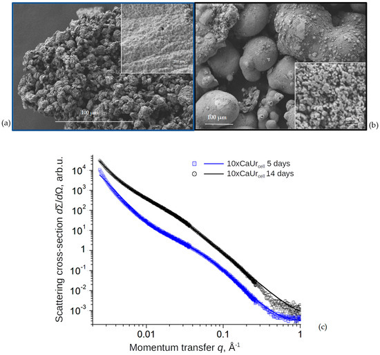 Structure Evolution of CaCO3 Precipitates Formed during the Bacillus ...