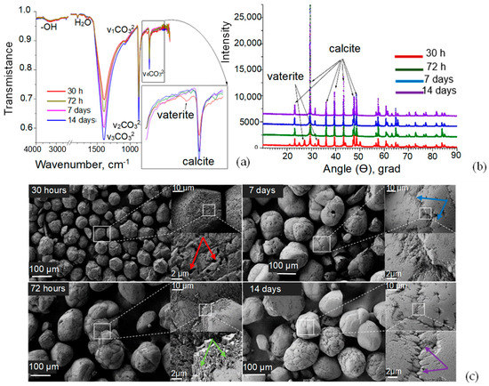 Structure Evolution of CaCO3 Precipitates Formed during the Bacillus ...