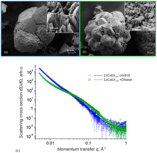 Structure Evolution of CaCO3 Precipitates Formed during the Bacillus ...