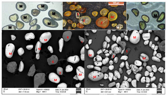 Minerals | Free Full-Text | Textural and Chemical Characters of Lean ...