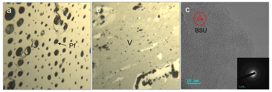 Investigation on the Mineral Catalytic Graphitization of Anthracite ...