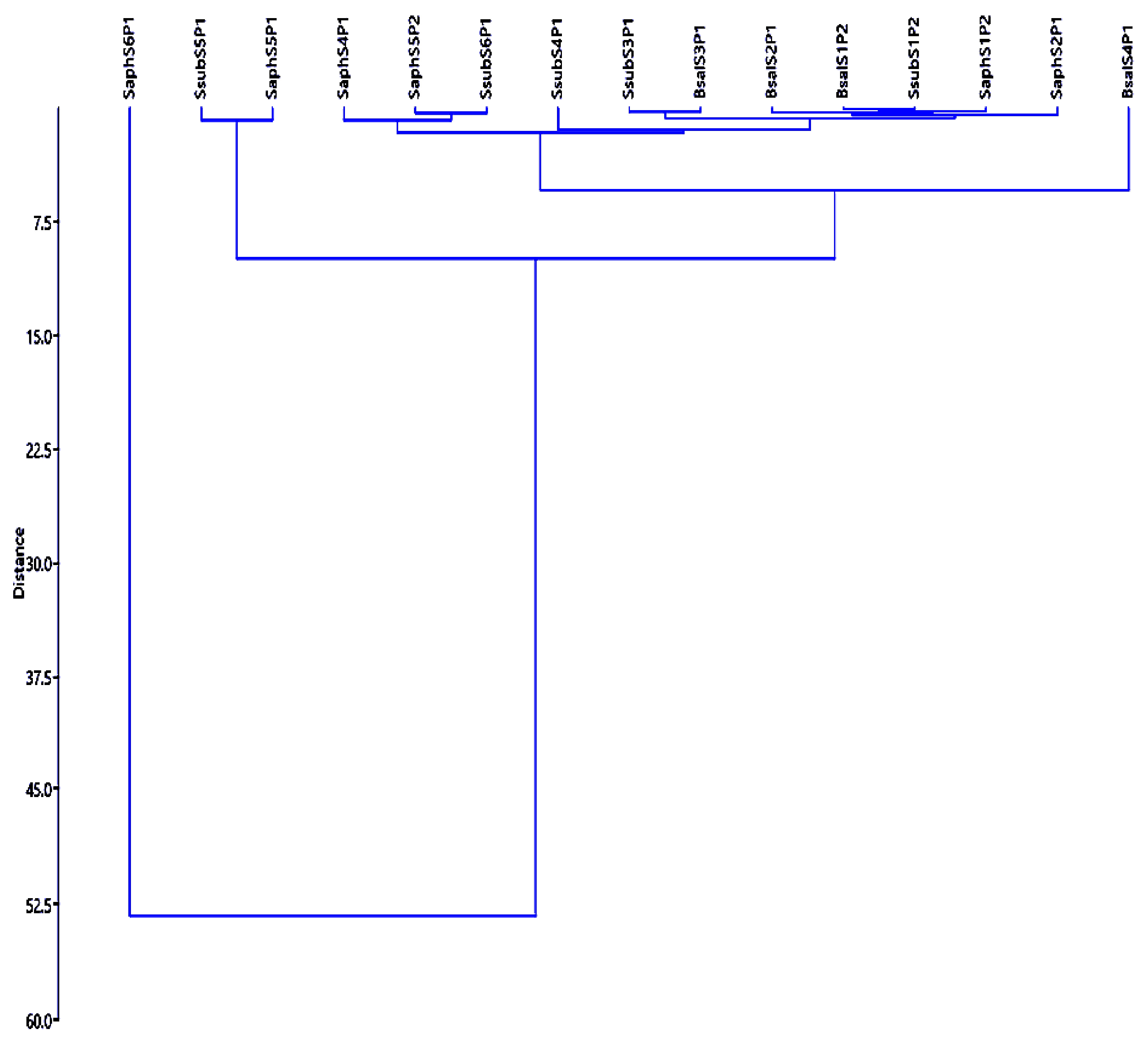 Minerals | Free Full-Text | Remote Sensing and Mycorrhizal-Assisted ...