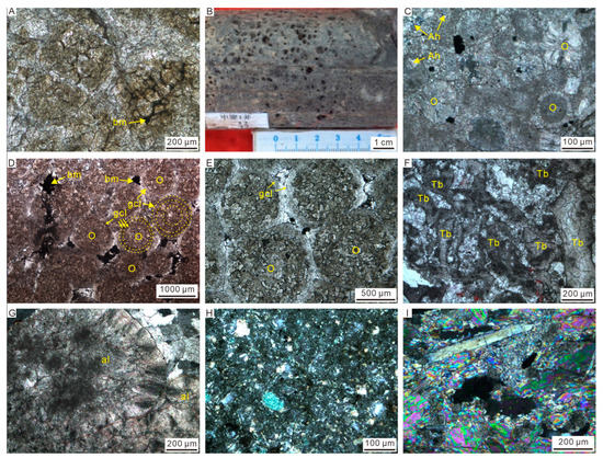 Facies, Depositional Environment and Reservoir Quality of an Early ...