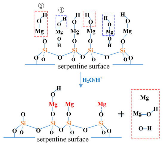 Dissolution Property of Serpentine Surface and the Effect on Particle ...