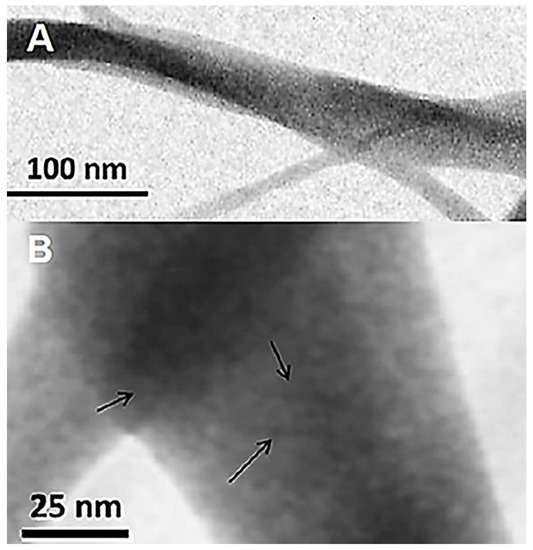 Nanoclay-Reinforced Nanocomposite Nanofibers—Fundamentals and State-of ...