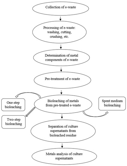 Bioleaching of Metals from E-Waste Using Microorganisms: A Review