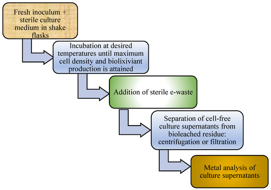 Bioleaching of Metals from E-Waste Using Microorganisms: A Review