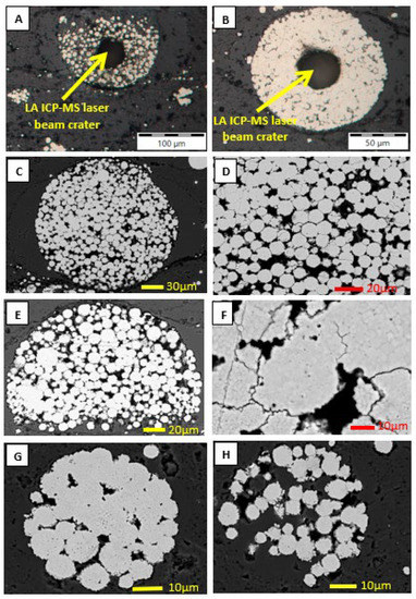 Minerals | Free Full-Text | Trace Element Composition of Pyrite from Selected Black Shale and ...