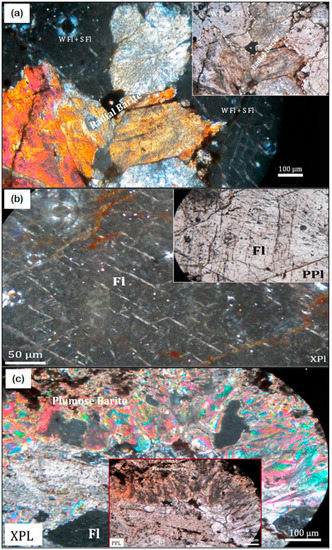 Fluid Inclusions and REE Geochemistry of White and Purple Fluorite ...