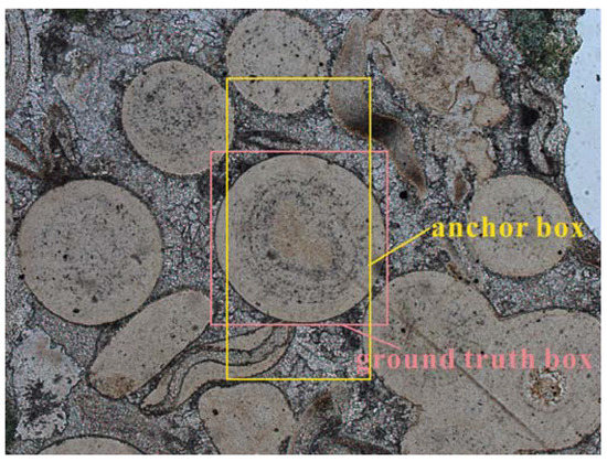 Multitarget Intelligent Recognition of Petrographic Thin Section Images ...