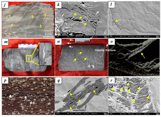 Characteristics and Formation Stages of Natural Fractures in the ...