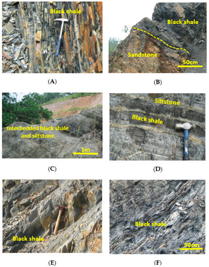 Geochemistry of the Devonian and Permo-Triassic Black Shales in ...