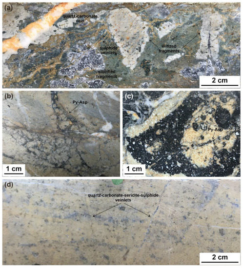 Trace Element Characteristics of Pyrite and Arsenopyrite from the Golden Ridge Gold Deposit, New ...