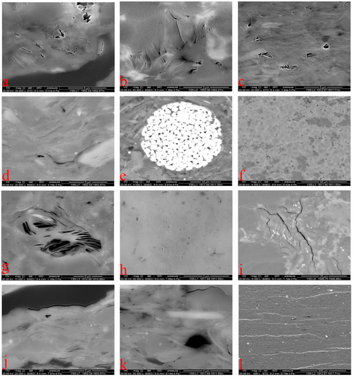 Characteristics and Factors Influencing Pore Structure in Shale Oil ...