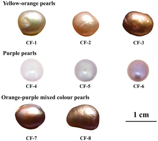 Nature of Pigments in Orange and Purple Coloured Chinese Freshwater Cultured Pearls: Insights ...