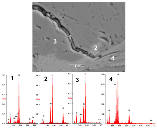 Petrographic Evaluation of Aggregate from Igneous Rocks: Alkali–Silica ...