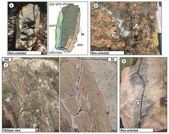 Structure and Distribution of the Gold-Related Quartz Vein Systems in ...