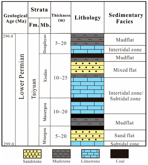 Petrological Characteristics and Hydrocarbon Generation of Carbonate ...