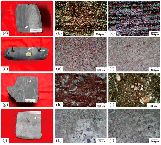 Petrological Characteristics and Hydrocarbon Generation of Carbonate ...