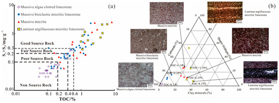 Petrological Characteristics and Hydrocarbon Generation of Carbonate ...