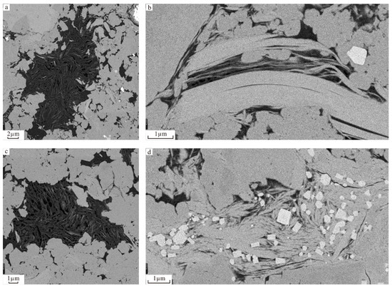 Characteristics and Geological Significance of Organic Matter Veins in ...