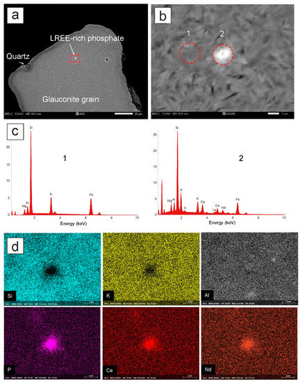 The Behavior of Rare Earth Elements during Green Clay Authigenesis on ...