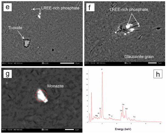 The Behavior of Rare Earth Elements during Green Clay Authigenesis on ...