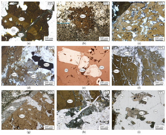 Effects of Metasomatism on Granite-Related Mineral Systems: A Boron ...