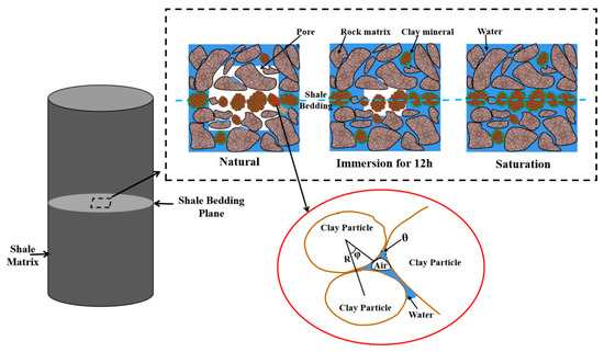 Influences of Water Content on Acousto-Mechanical Properties and ...