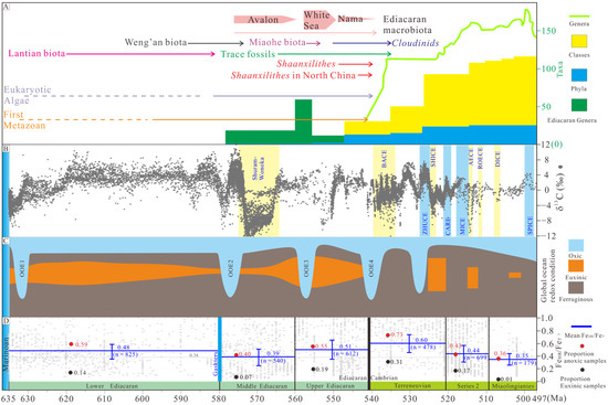 Redox Conditions of the Late Ediacaran Ocean on the Southern Margin of ...