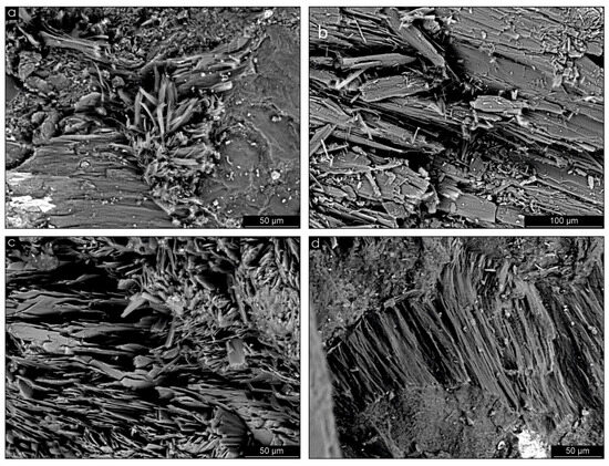 A Review of the Mineralogy, Petrography, and Geochemistry of ...