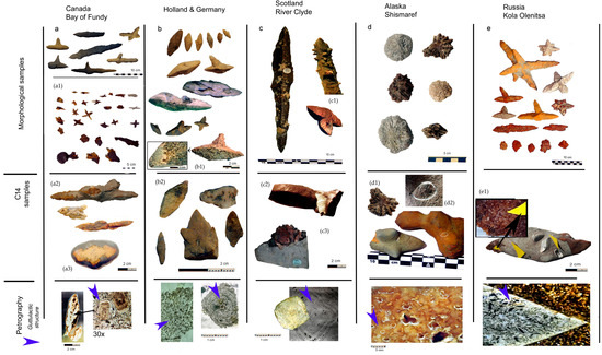 Transgression Related Holocene Coastal Glendonites from Historic Sites