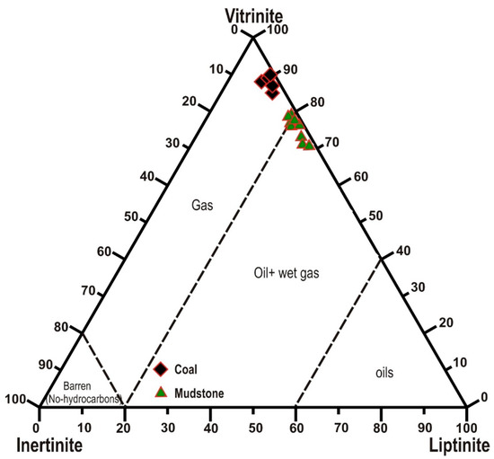 Lithofacies Controls on Hydrocarbon Generation Potentiality of the Syn ...
