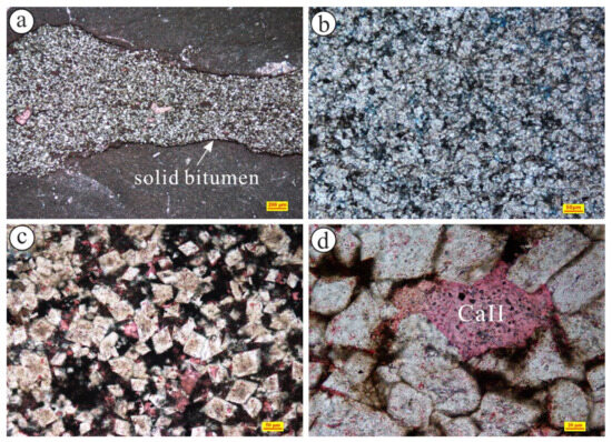 Paragenesis and Formation Mechanism of the Dolomite-Mottled Limestone ...