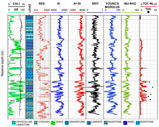 Source Rock Evaluation from Rock to Seismic Data: An Integrated Machine ...