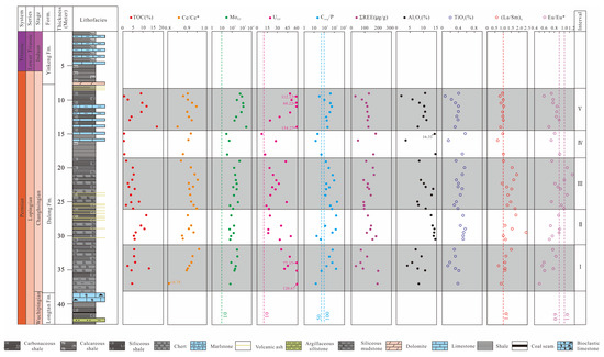 Minerals | Free Full-Text | Geological Significance of Rare Earth ...